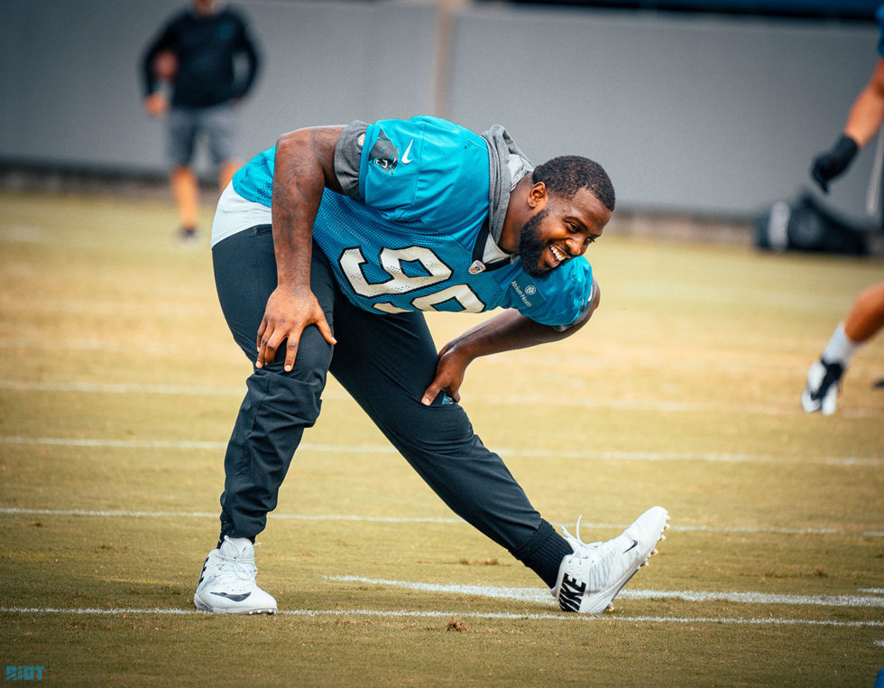 12 Permutations: How The Panthers Have Rebuilt Their Defensive Line